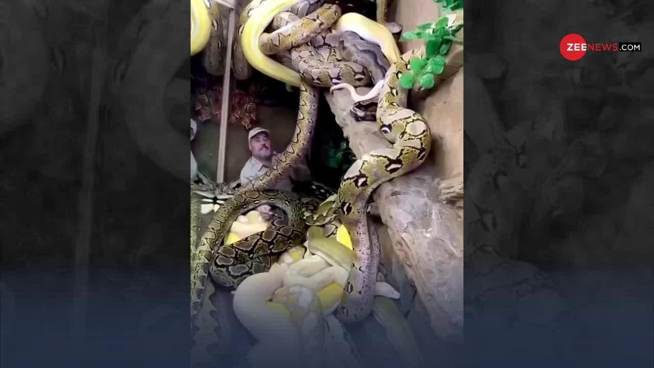 VIRAL VIDEO : Man and Snake Friendship Video goes Viral on Social Media ...