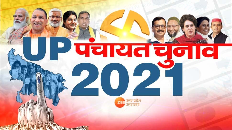 UP Panchayat Chunav 2021 BJP Maked Special Plane For ElectionCheck Here ...