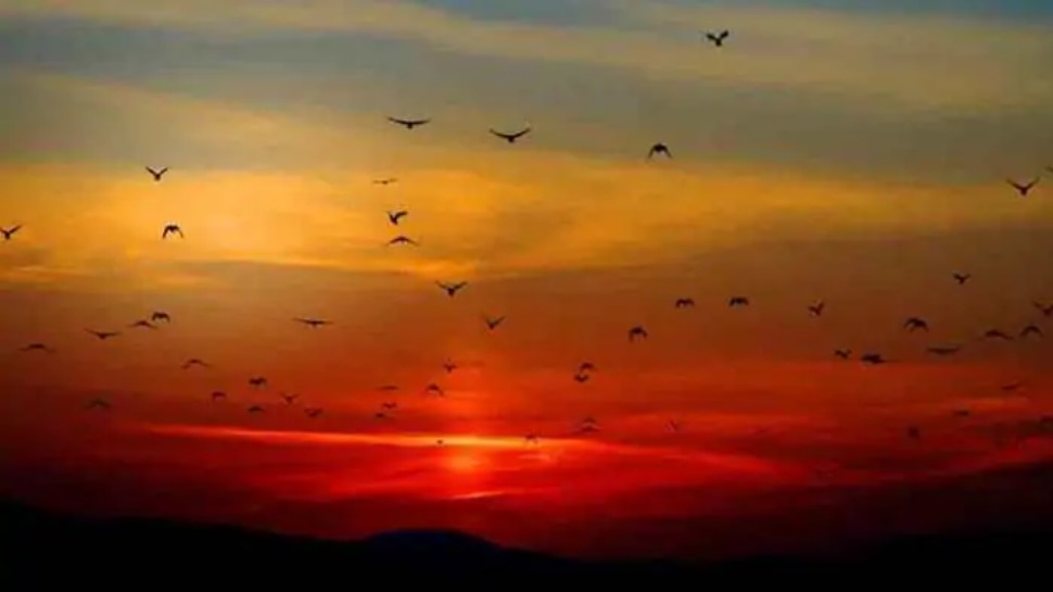 know what is godhuli bela what work you must do this time and what to ...