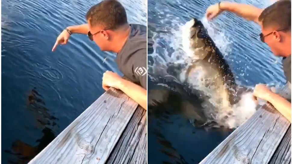 VIRAL Video: Man was showing his hands in the water, suddenly the ...