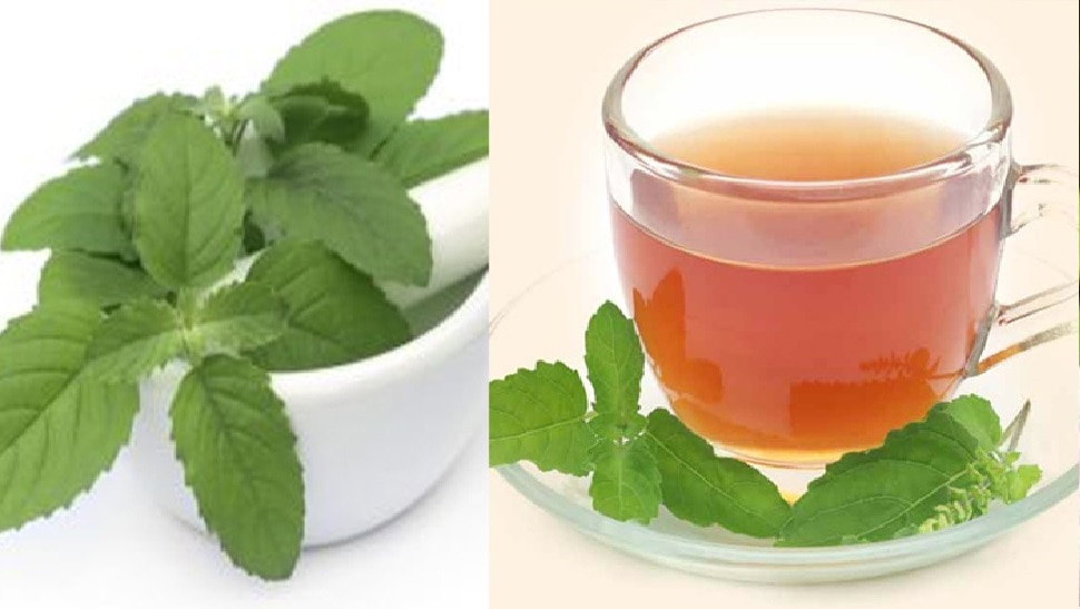 health know how to make kadha at home drink this kadha to protect from ...