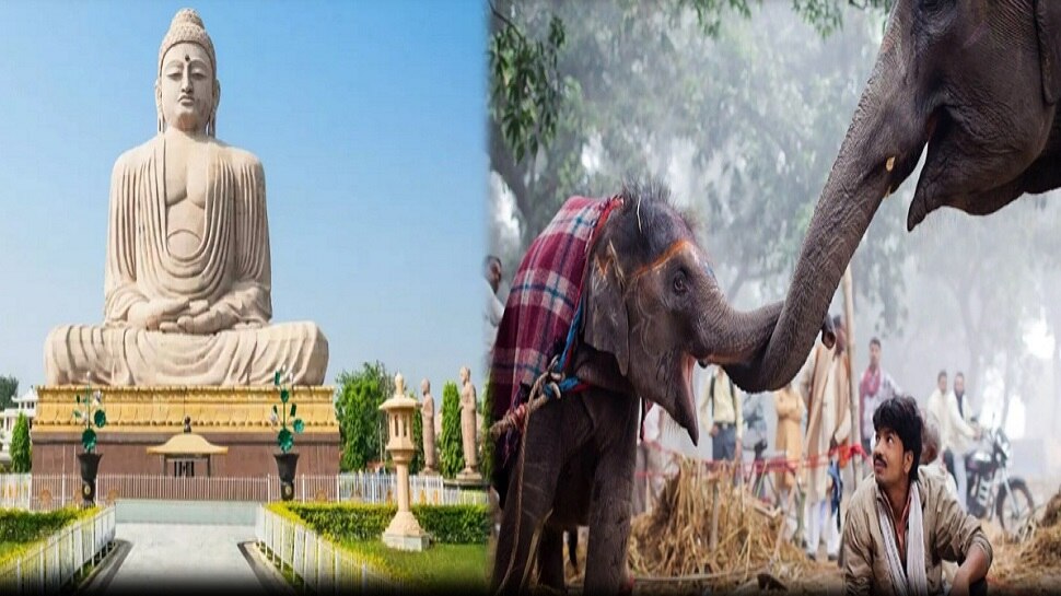 Many interesting facts have been hidden in 'Bihar' knowing you will ...