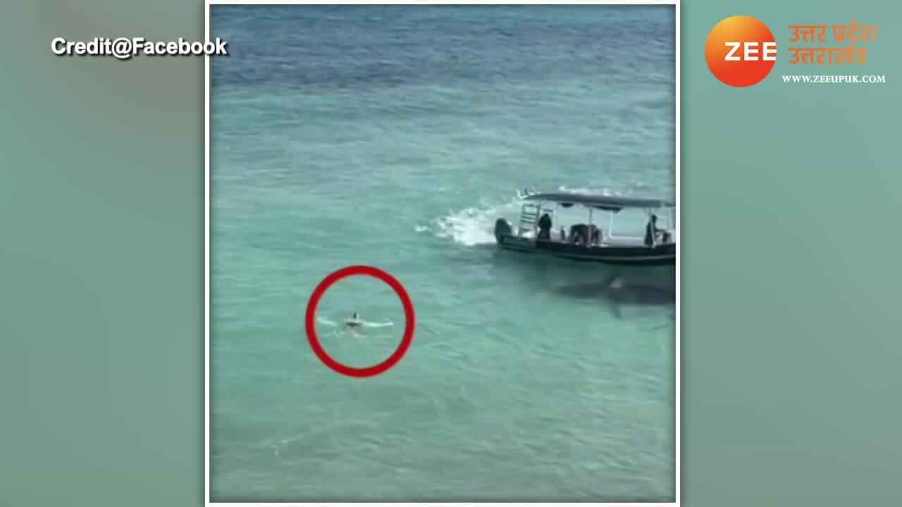 Most Horrific Shark Attack video man was swimming in sea Sudenly Come ...