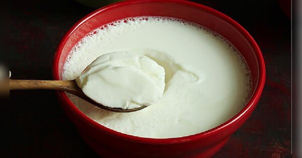 health news Men should start eating curd at this time in summer you ...