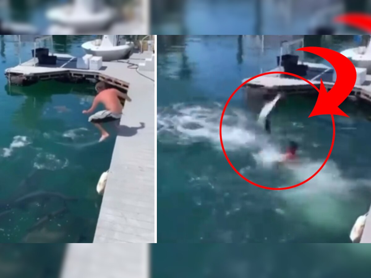 Viral video of Man trapped by fish in net, dragged in water inside ...