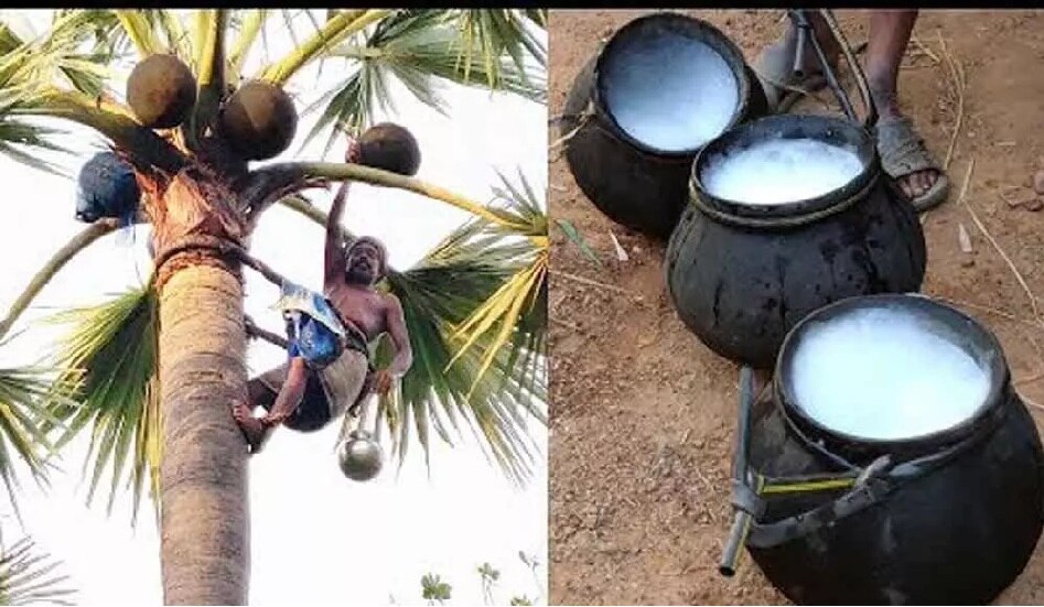 Bihar government is preparing to sell Neera so that people can get ...