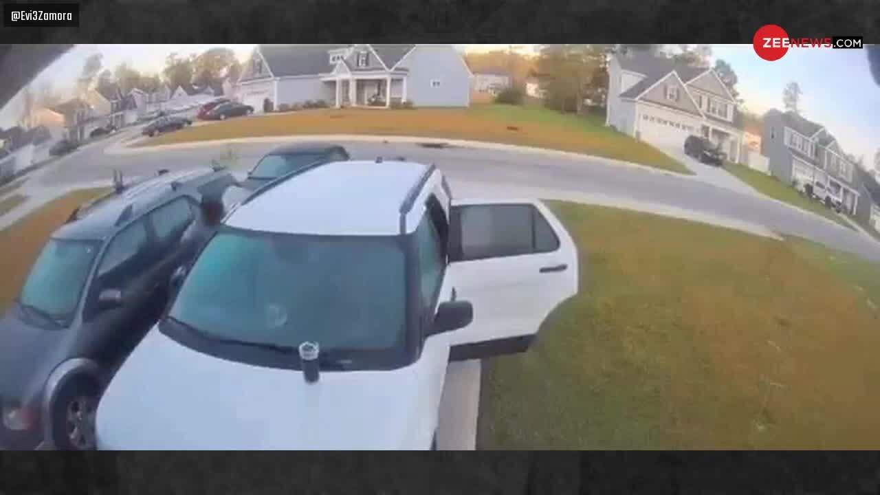 Viral Video: Woman screams in horror after bobcat attacks her, Video ...