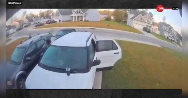 Viral Video: Woman screams in horror after bobcat attacks her, Video ...