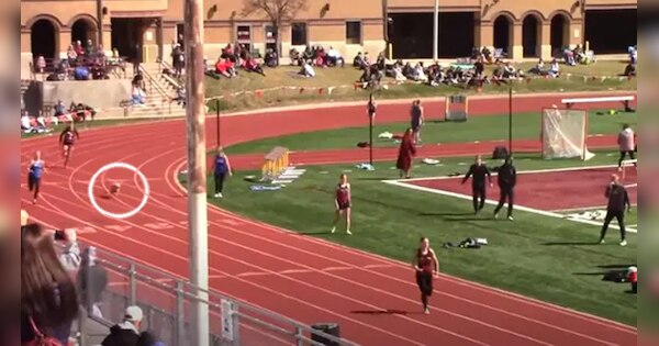 Dog crashes schools relay race in America and wins it too, Watch video ...