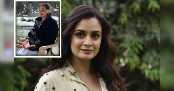 Pregnant Dia Mirza face and arm injury shares photo on instagram fans ...