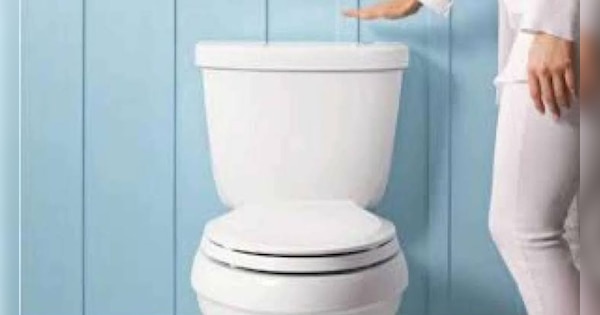 UK Museum displays Worlds largest known human poop which is 20CM long ...