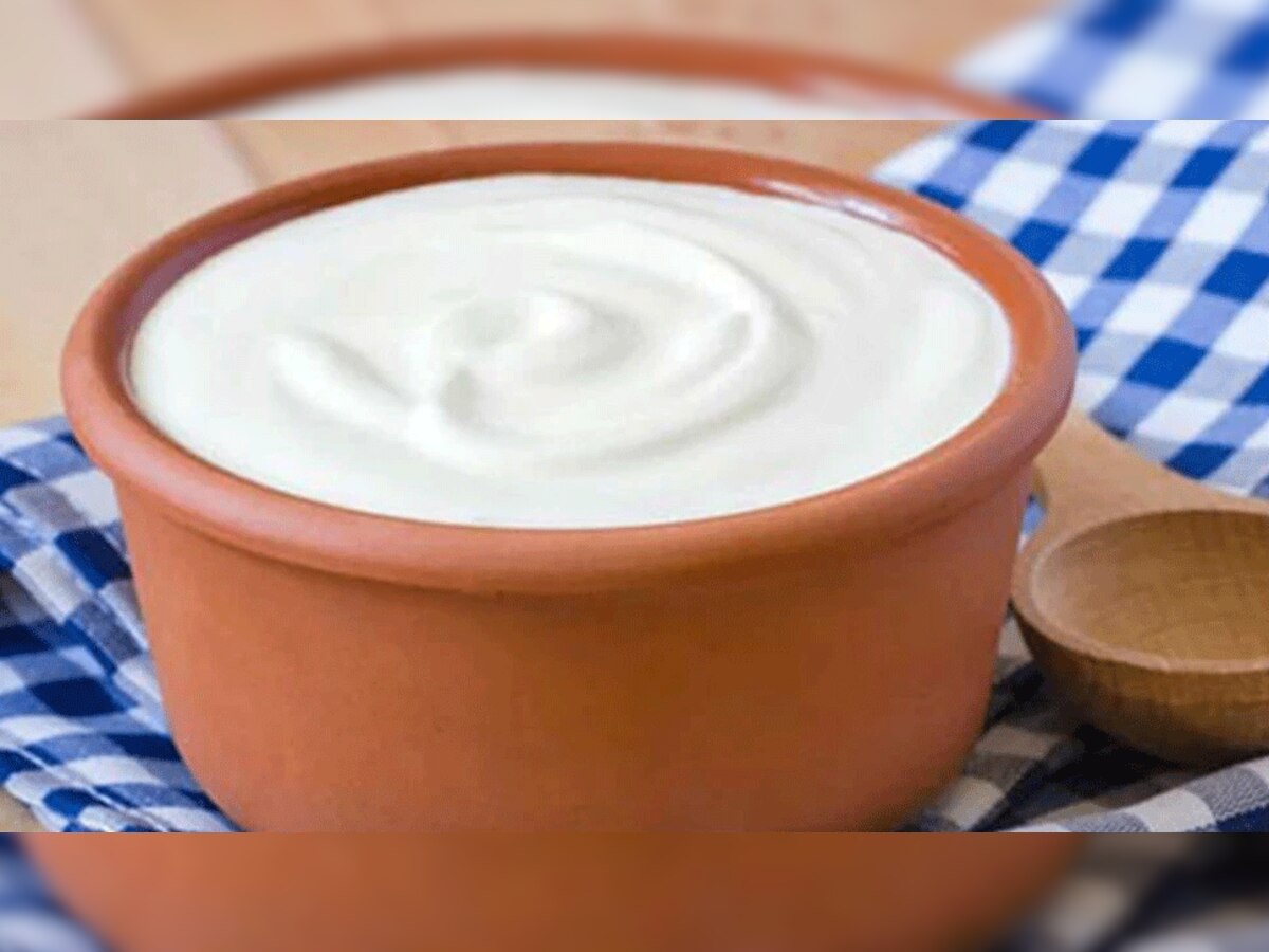 Knowledge Know Who First Time Made Curd or Dahi rsup | Knowledge: आखिर ...