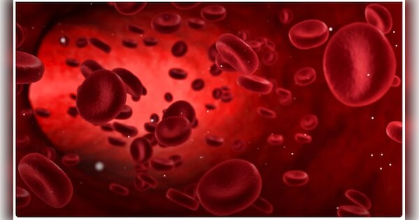 knowledge rh null blood group is golden blood group rarest blood group ...