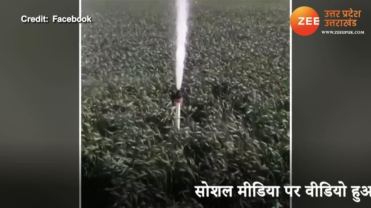 watch most shocking viral video snake came out of the sprinkler during ...