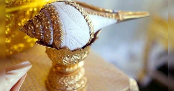 Seeing conch shell in your dream means that you are going to get buried ...