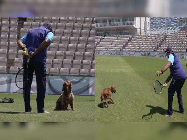 WTC: Indian coach Ravi Shastri was having Winston dog ahead of the ...