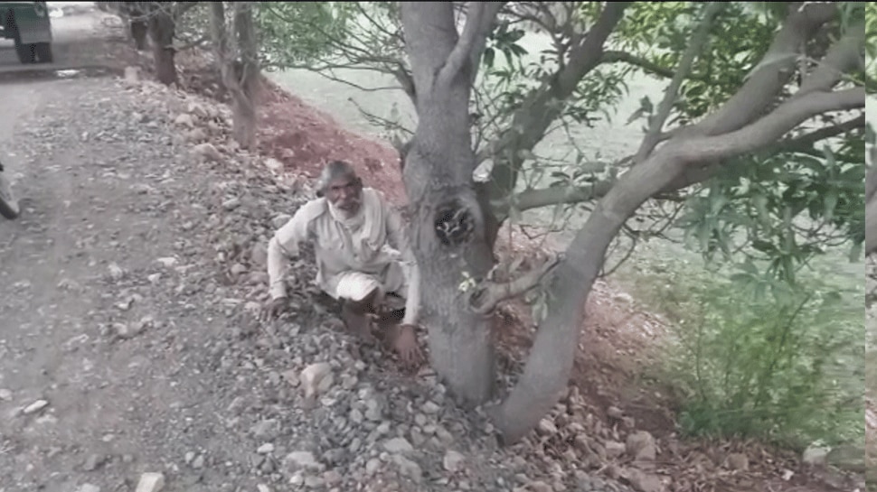 Chhatarpur People who is called as Tree Man Tribals Planted more than ...