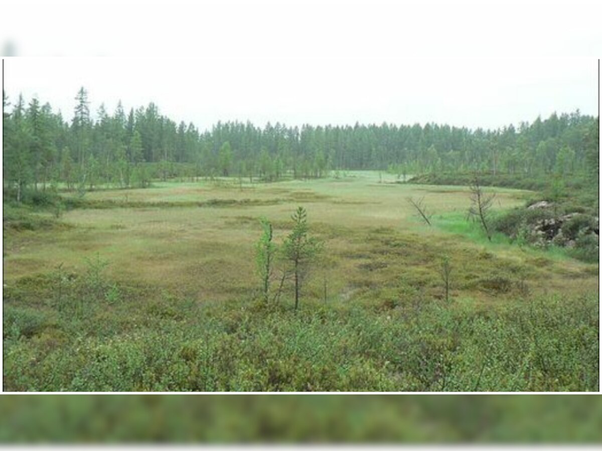 world asteroid day 2021 tunguska event in history tunguska explosion facts | World Asteroid Day ...