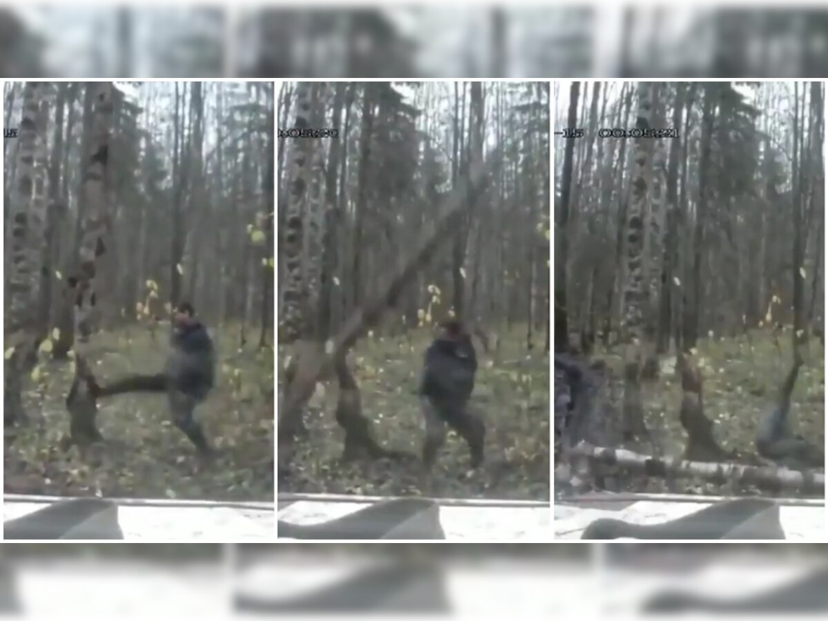 viral video of man kicking tree gets karma result fruit of action for ...
