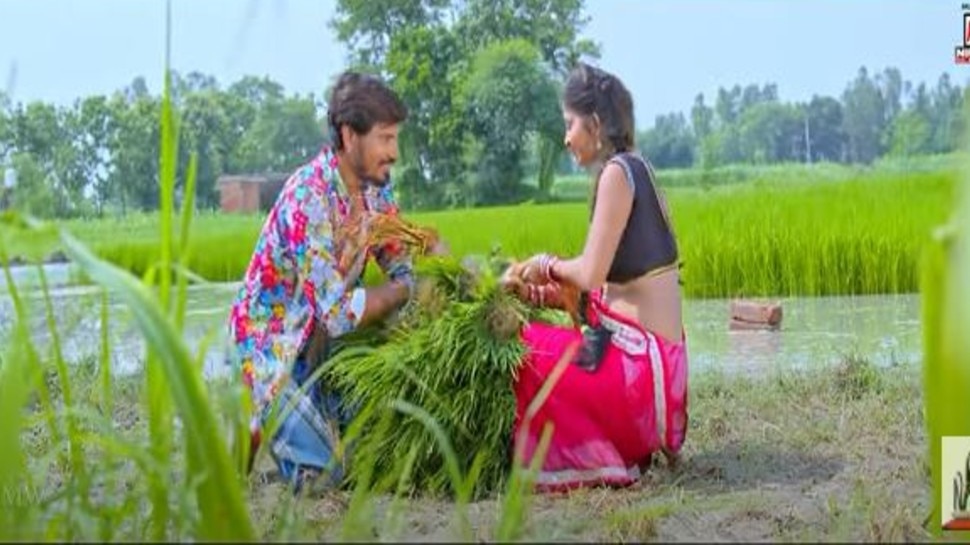 Pravesh Lal Yadav Song released video getting huge views|निरहुआ के भाई ...