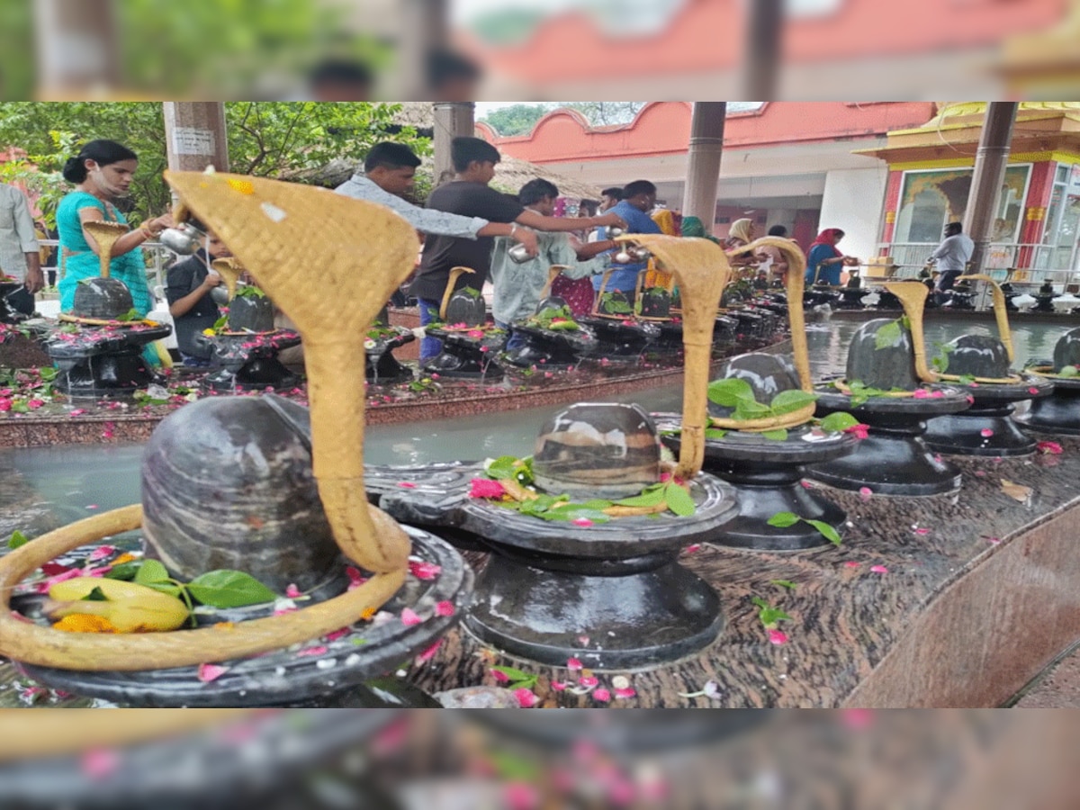 Shivpuri Dham of Kota with 525 Shivlings Gives virtue of 12 ...