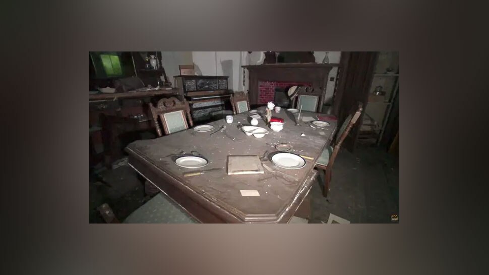 dead cat turned in mummy know what uk urban explorer adam mark found in ...