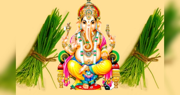 coach grass durva importance in lord ganesha pooja know the facts story ...