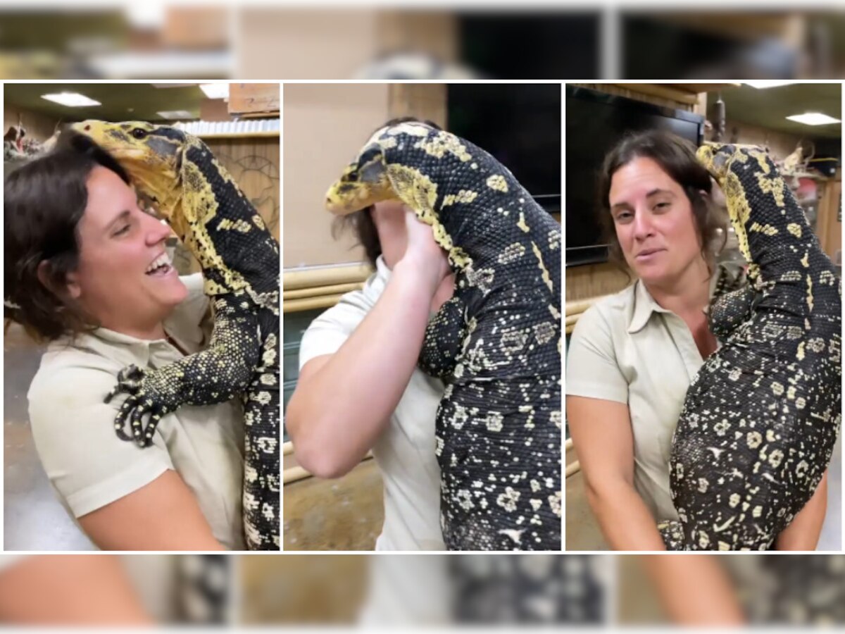 viral video of woman hugging giant lizard shocks netizens weird video ...
