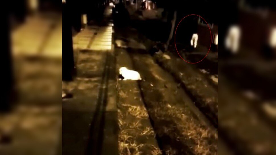 pair of legs without body video viral on internet | Viral video: बिना ...