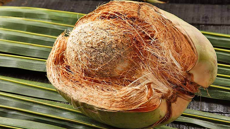 benefits and uses of coconut husk | क्या आप जानते हैं नारियल के छिलके ...