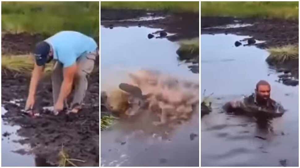 viral funny video man falling into dirty muddy water will make you ...