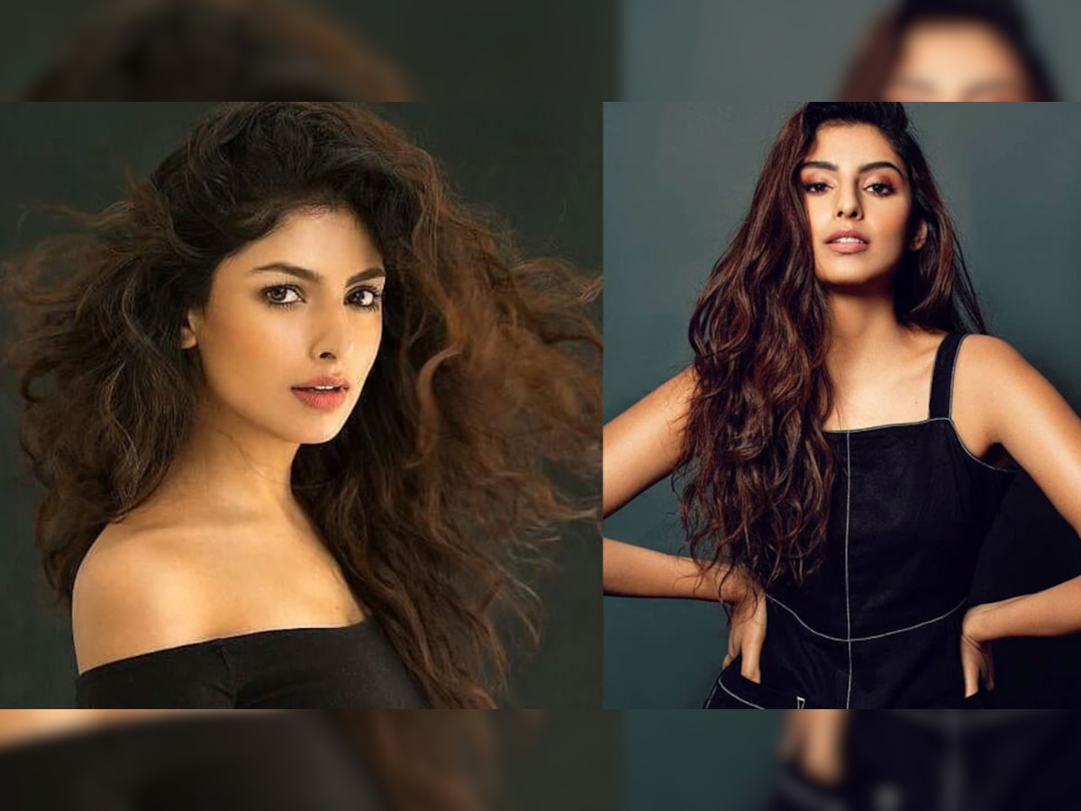 IPL 2021: Nashpreet Singh Punjabi Cricket Anchor sets tournament on ...