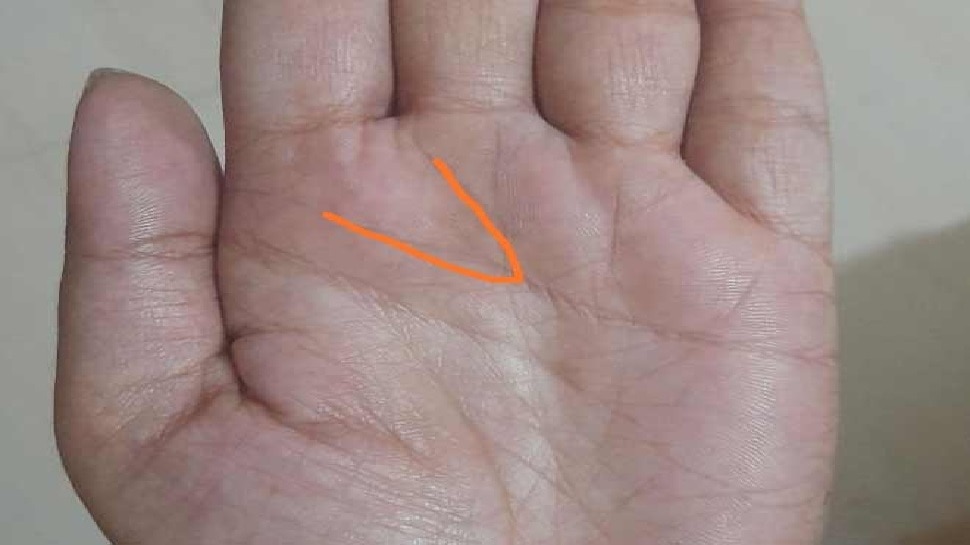 Palmistry: सौभाग्‍यशाली होते हैं वो लोग जिनकी हथेली में होती है विष्णु ...