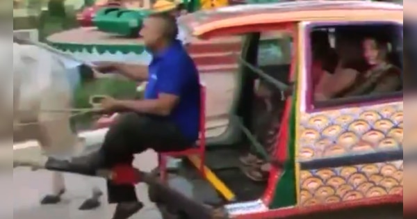 Desi Jugaad: help of bullock cart person creates weird car like this ...