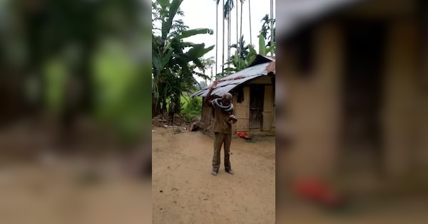 king cobra assam video viral | VIDEO: खेलते-खेलते कोबरा किंग का शिकार ...
