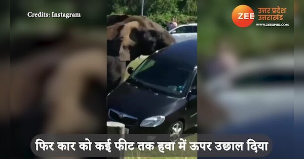 elephant broke the car haathi tossed the car several feet up in the air ...