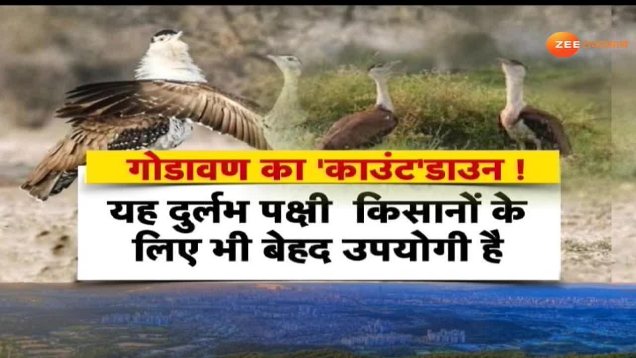 Has the 'count down' of Godavan, the state party of Rajasthan, started ...