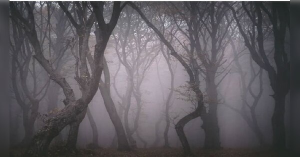 most haunted forest in the world bermuda triangle of romania | ଦୁନିଆର ...