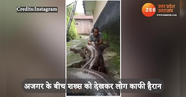video man lying with two dangerous pythons goes viral social media ...