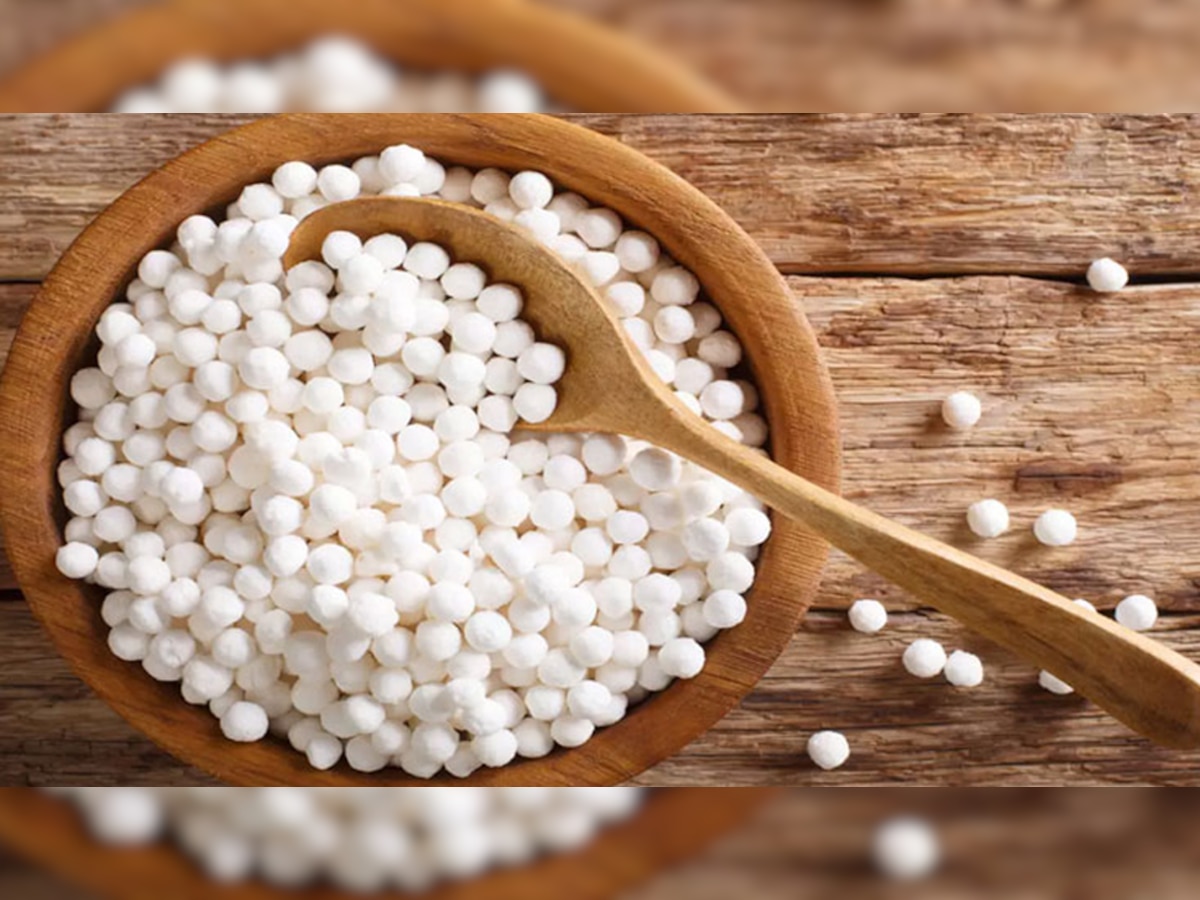 What is the process of making sabudana from which sago made tapioca ...