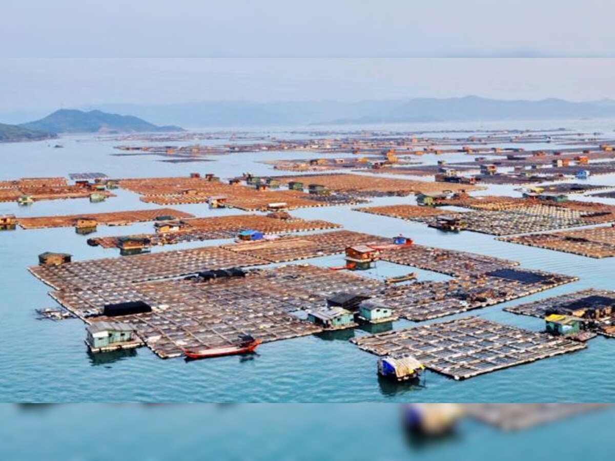 Ajab Gajab News: China's floating fishing city Tanka, where people ...