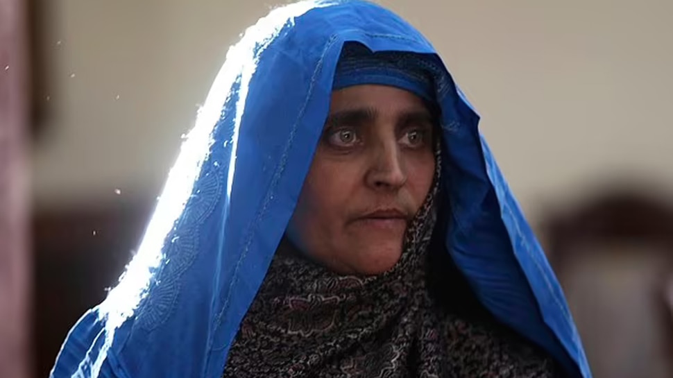 Afghan girl Sharbat Gula with the green eyes from iconic 1985 National ...