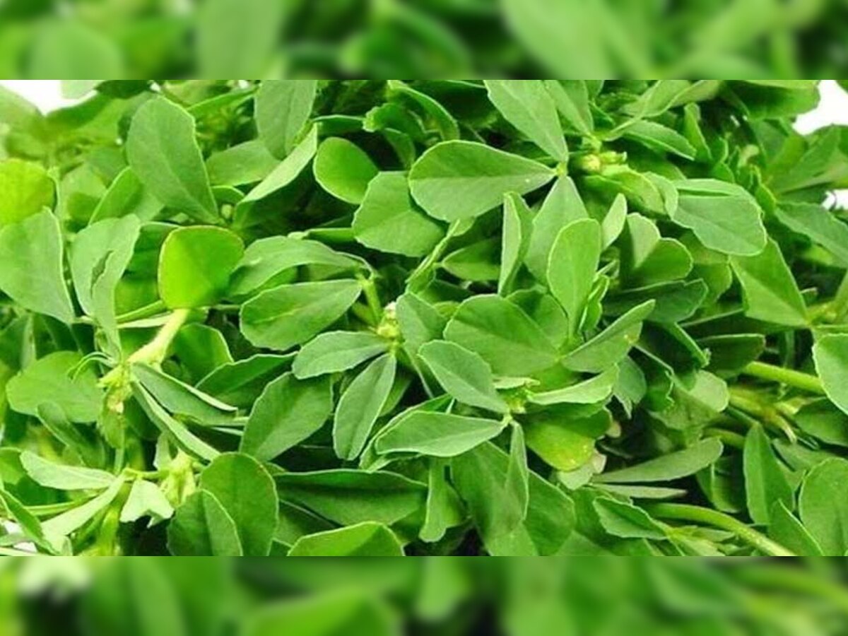 skin care tips skin problems tulsi pudina methi and neem leaves | चेहरे ...