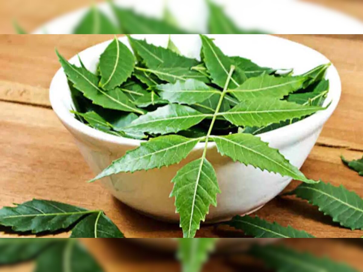 skin care tips skin problems tulsi pudina methi and neem leaves | चेहरे ...