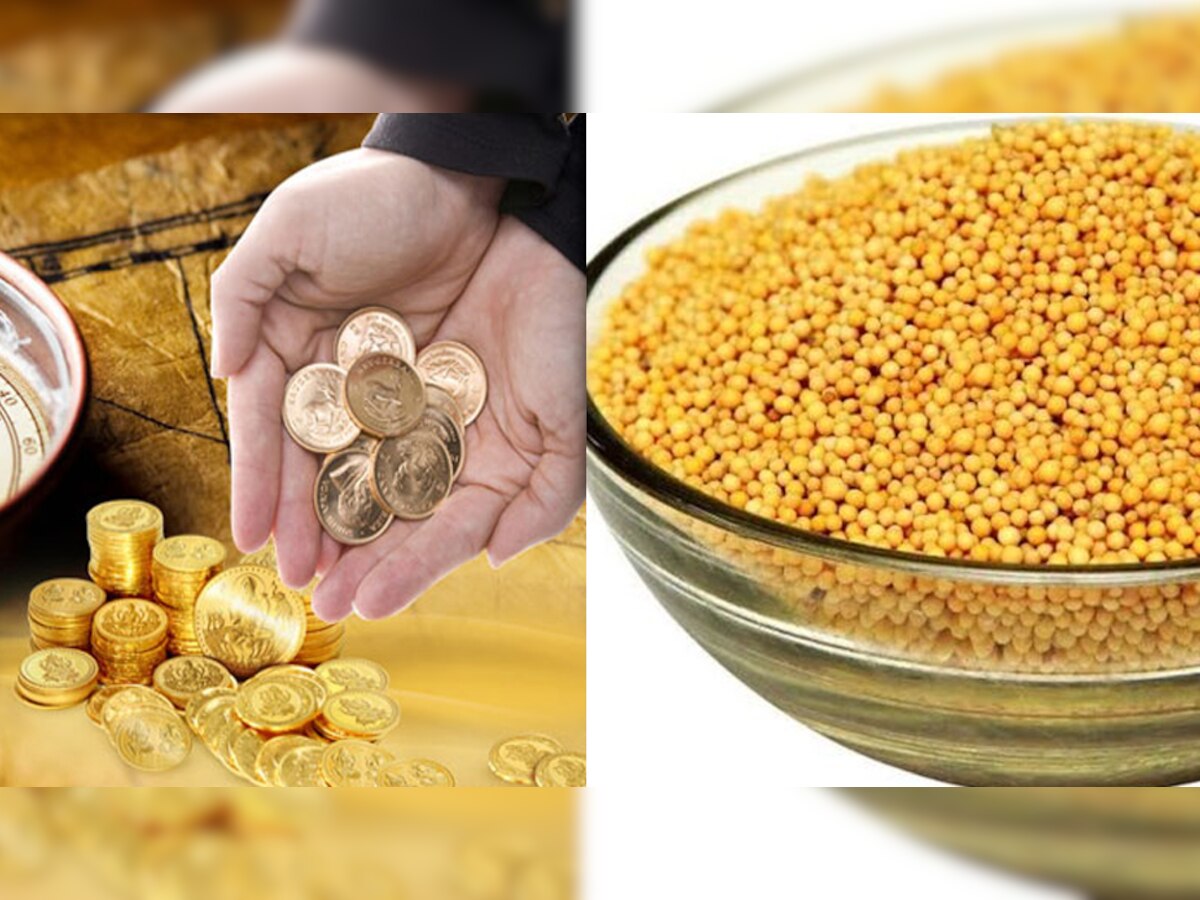 pili sarson ke totke Yellow mustard will make rich progress will be ...