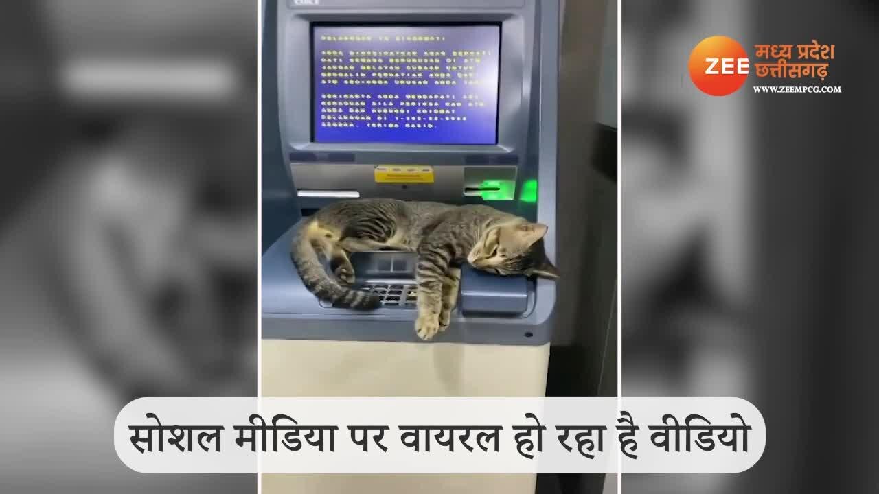 viral funny cat video used ATM machine to avoid cold snmp | ठंड से बचने ...
