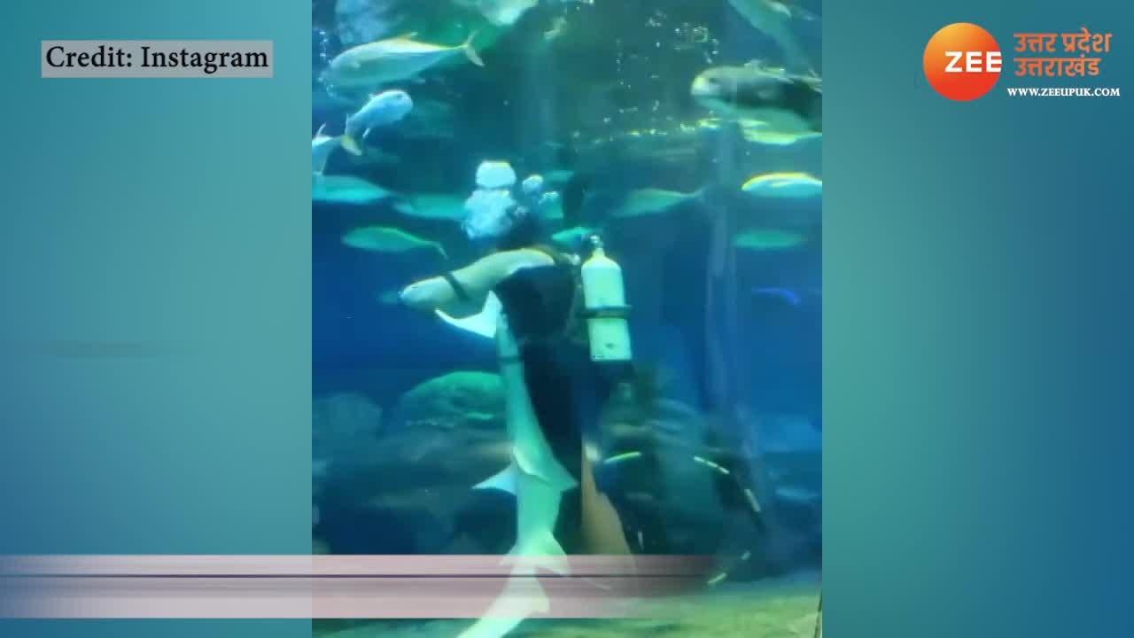 Viral Video of A man dancing with Shark under water you will be shocked ...