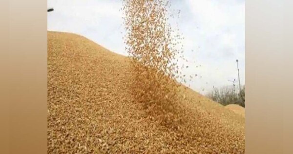 rewa administration action in rotten paddy by putting a tag of 2021 22 ...