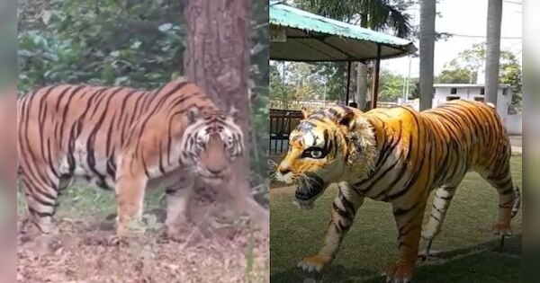 Munna Tiger special idol made of five quintals of plastic to give ...