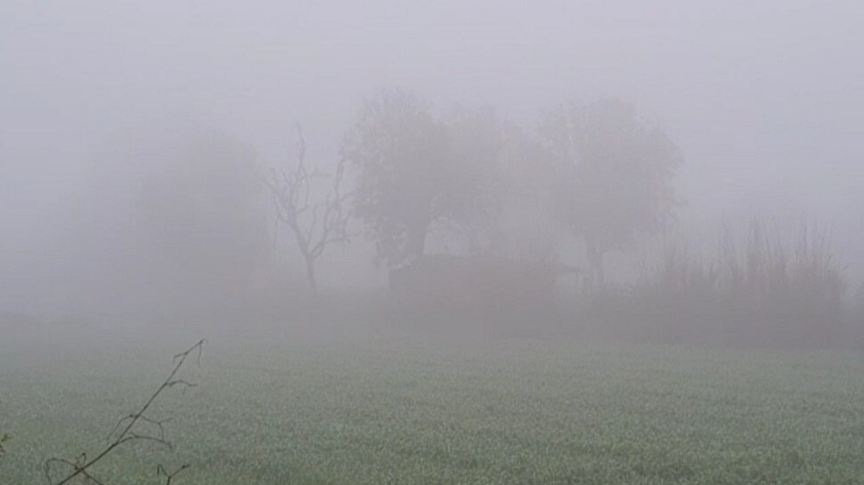 Karauli Weather Update Shadow fog with dense clouds 2 days off in ...